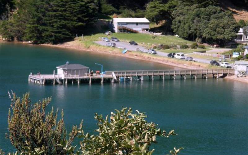 French Pass Campsite | Freedom/Basic Camp | New Zealand