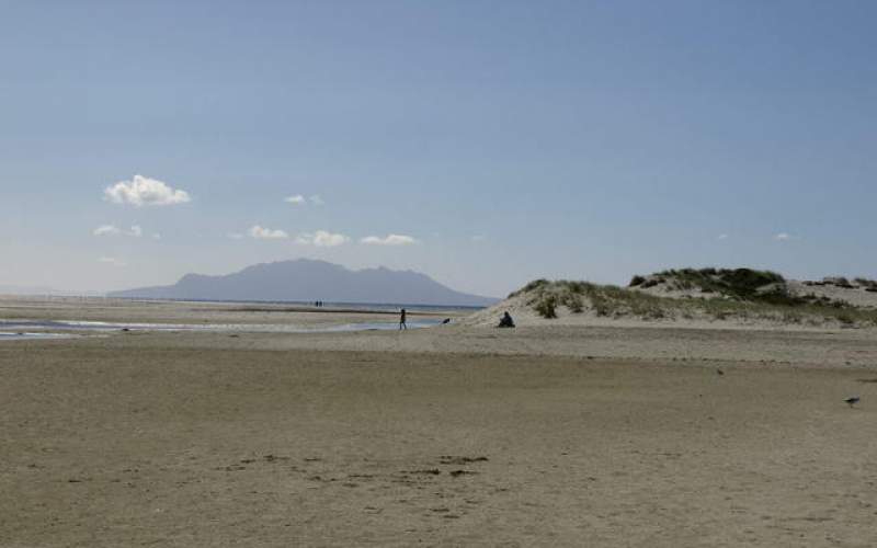 Pakiri Beach Holiday Park | Full Service Camp | New Zealand